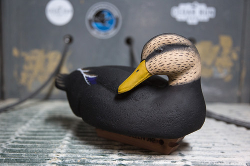 Black Duck Gunner Decoy | Cedar Run Decoy Co.