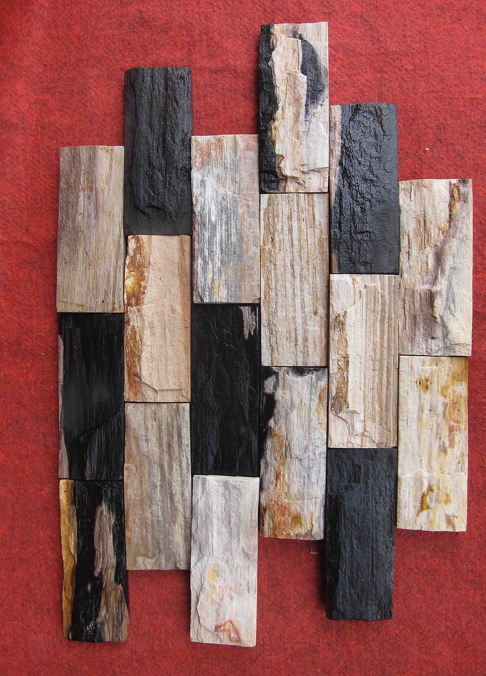 Petrified Wood Wall Tiles | IndoGemstone