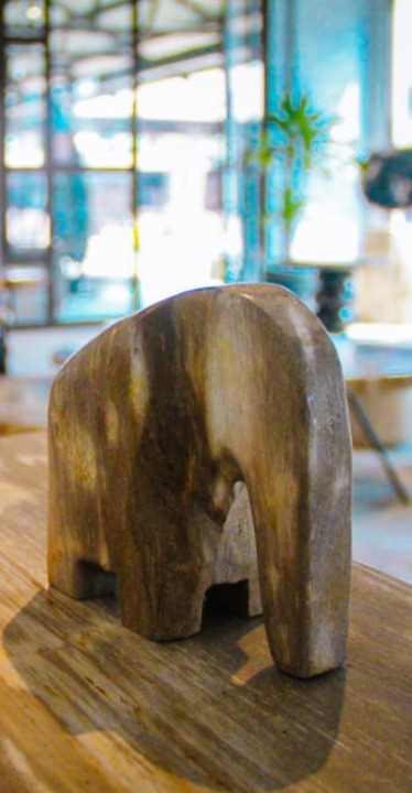 Petrified Wood Room Decor | IndoGemstone