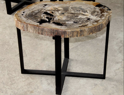 Petrified Wood Natural Edge Coffee Table | IndoGemstone