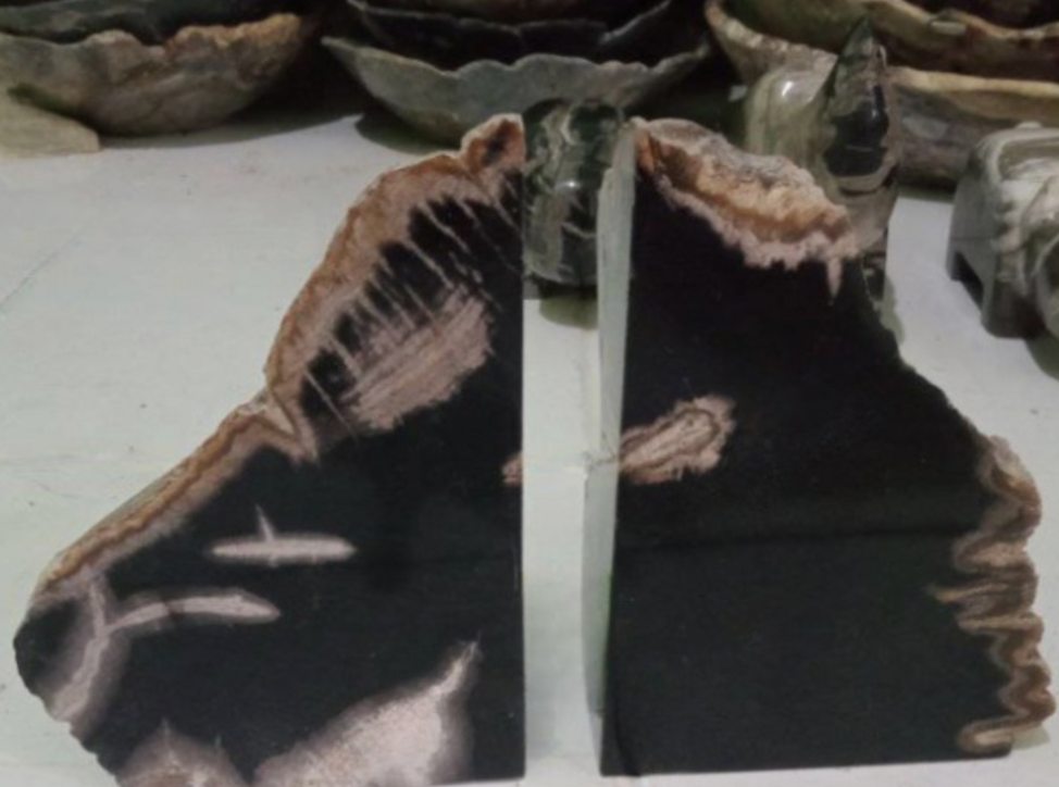 Petrified Wood Bookends | IndoGemstone