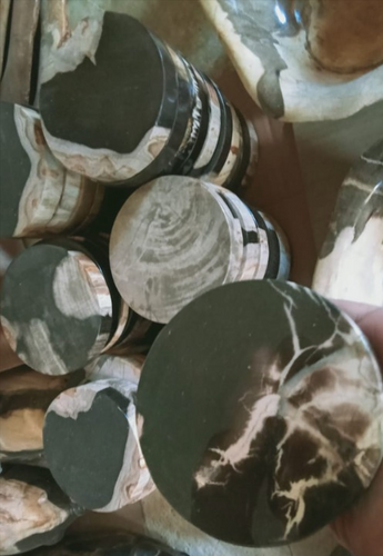 Petrified Wood Coaster | IndoGemstone