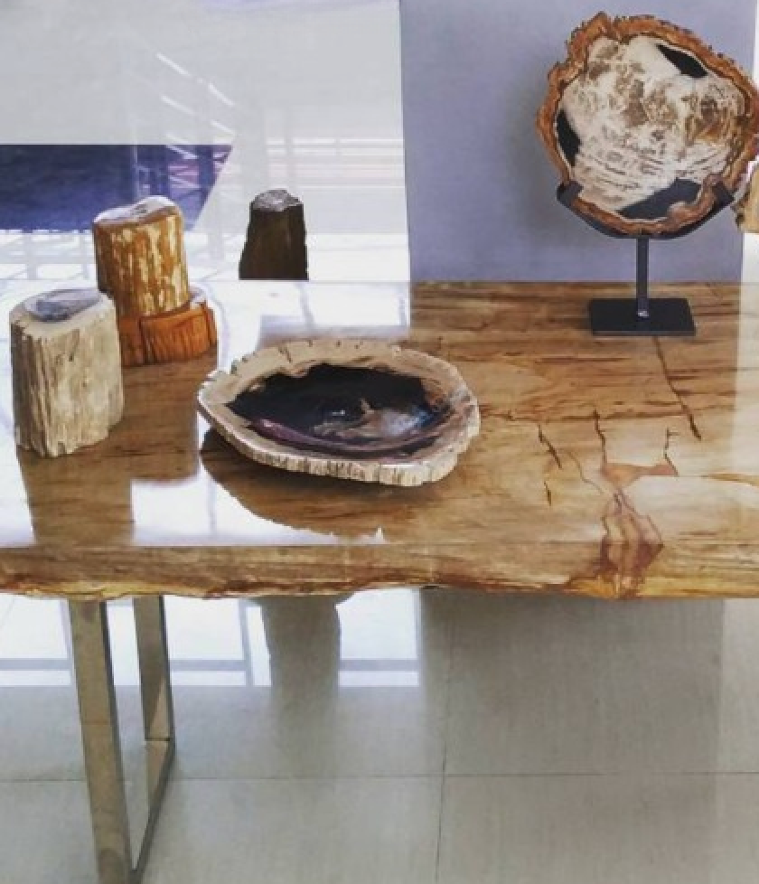 Petrified Wood Stone Decor | IndoGemstone