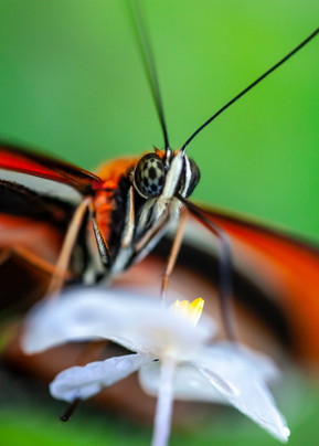 Photographer | www.mathildegrafstrom.com | Female Beauty