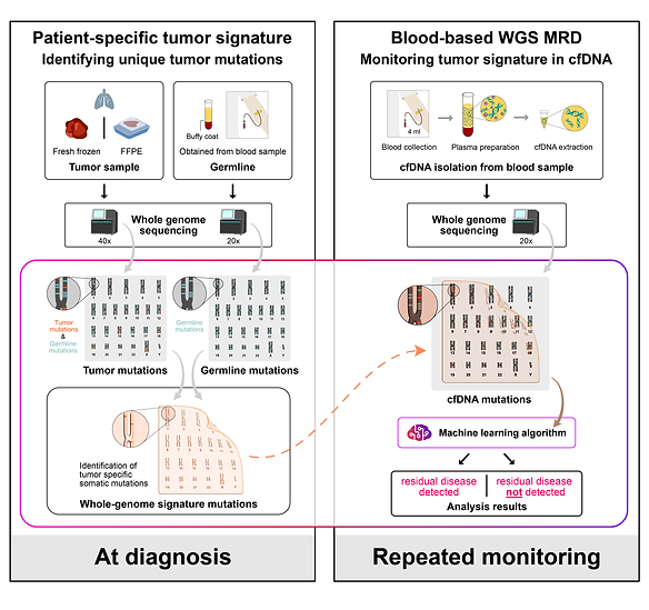C2i Genomics | RW Illustration