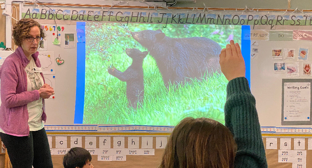 Bear Smart ABCs