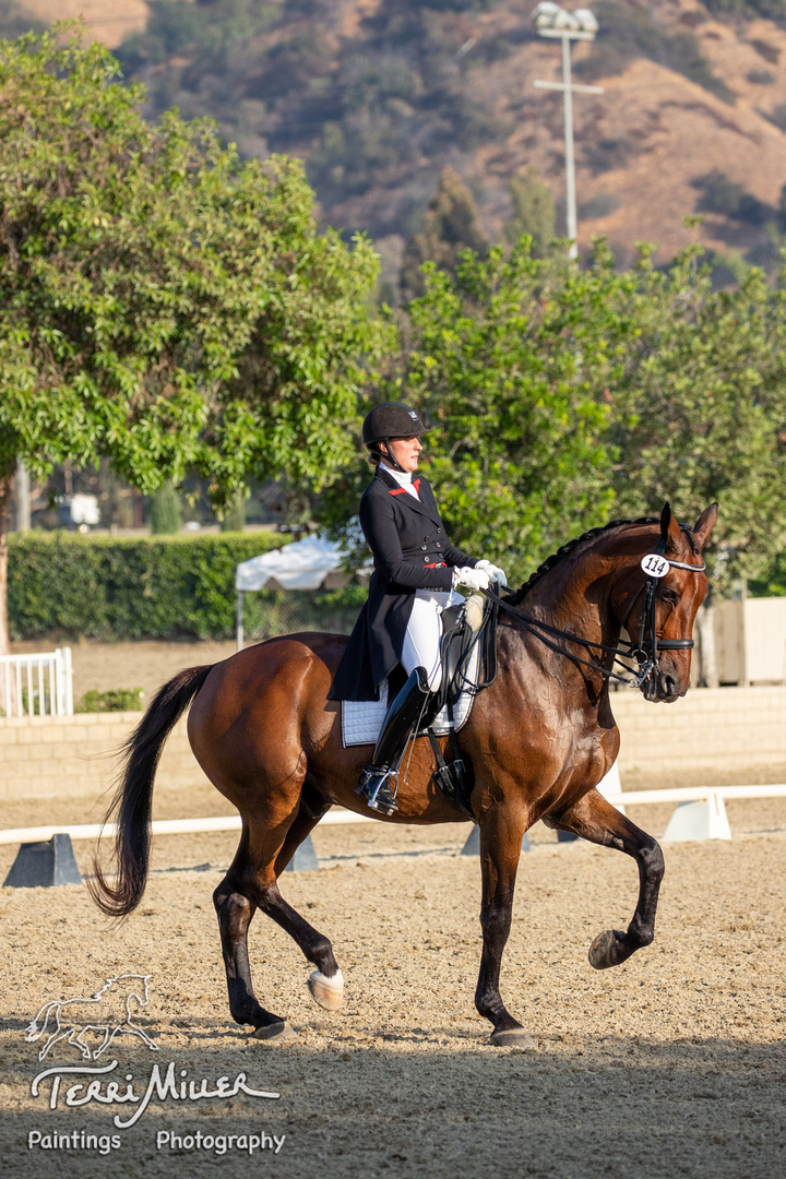 Peridot Equestrian Center in Southern California is Now Officially ...