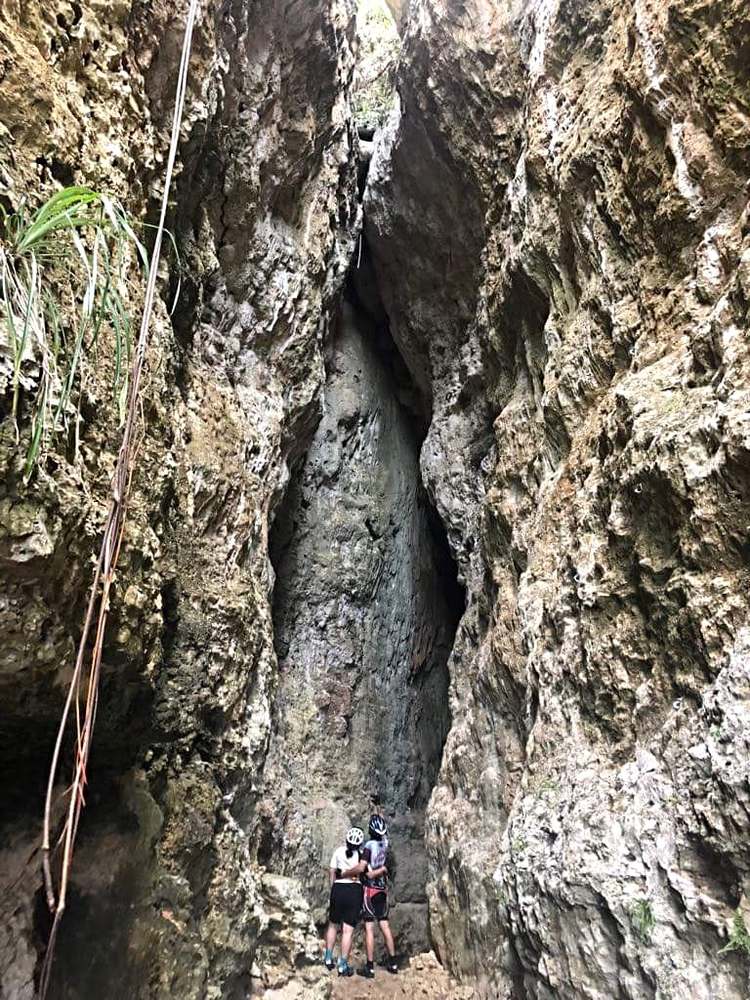 Parque Julio Enrique Monagas, Bayamón