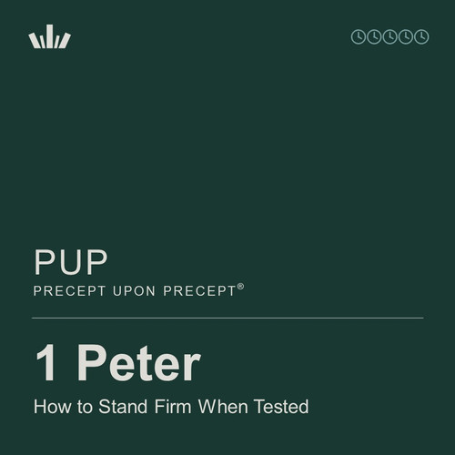 1 Peter | Precept Singapore
