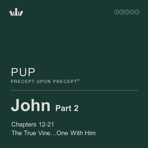 John Part 2 | Precept Singapore
