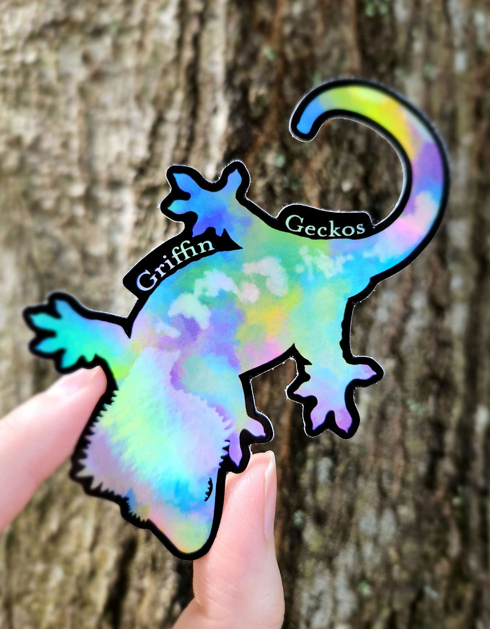 Holographic Pastel Gecko | Griffin Geckos Holographic Pastel Gecko | Griffin Geckos