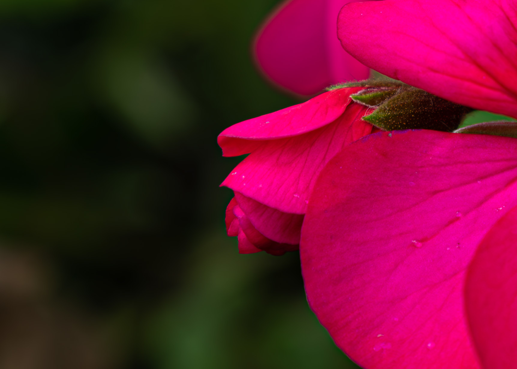 Nature Photography | Craig's Impressions: Travel & Photography Blog