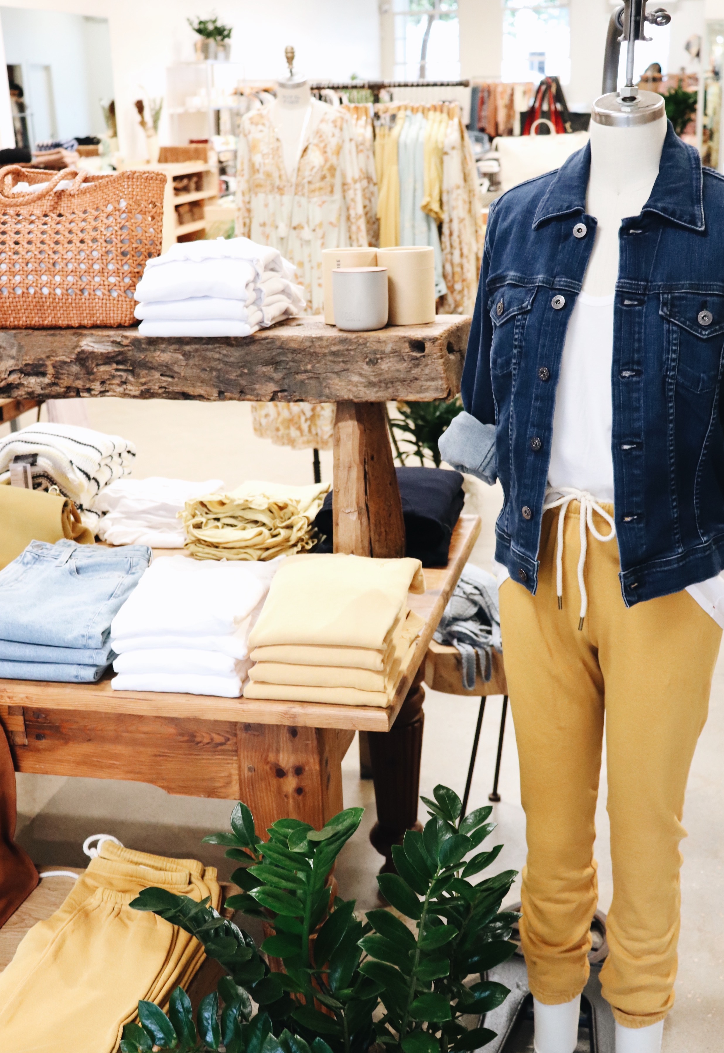 WENDY FOSTER STATE STREET | Downtown Santa Barbara | Wendy Foster