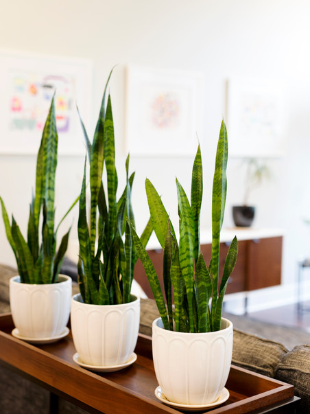 Interior Designer | Kate Deupree Studio | Grand Rapids