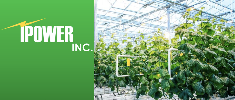 iPower, Inc. Engages Boustead Securities as Exclusive Financial Advisor