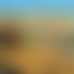 ผู้จัดจำหน่ายเครื่องจักร | Minsen Machinery