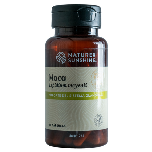 MACA | Sunshine Guatemala