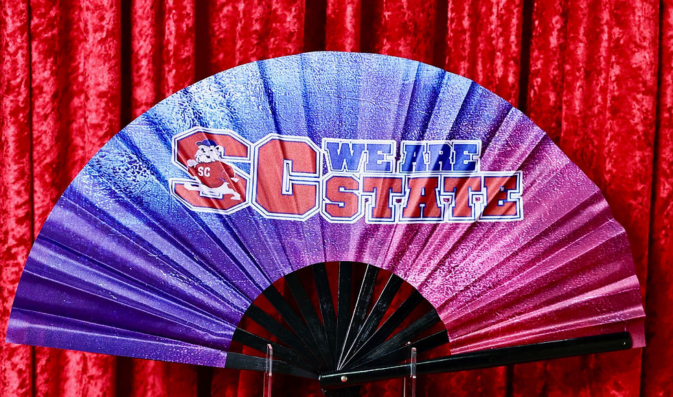 WE ARE SC STATE FAN | All things created