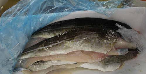 North Sea Cod Fillet 200-230g | Johnson’s Fish