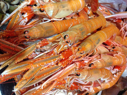 Frozen Lango's 13-16 | Johnson’s Fish