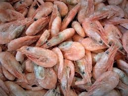 North Atlantic Shell on prawns 500g | Johnson’s Fish