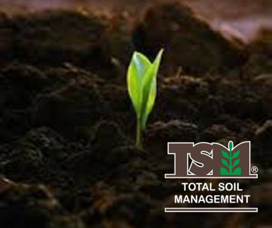 About TSM | TSM Services, Inc