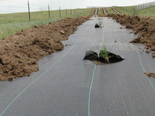 Fabric Mulch - 6' x 300ft | Laramie County Conse