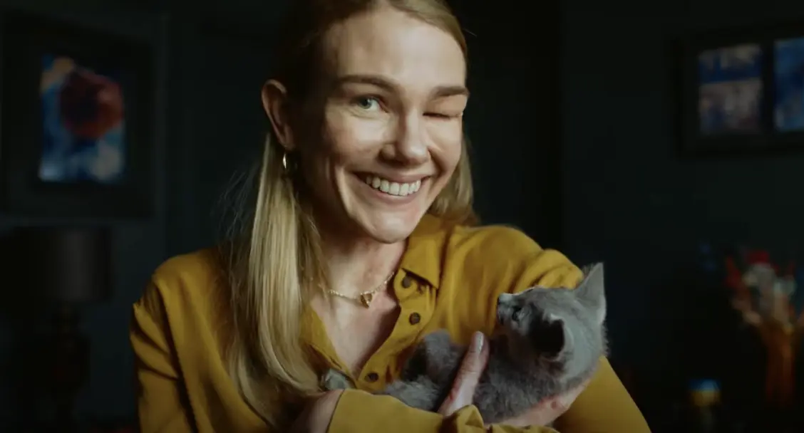 12 Cat Food Commercial Examples That Nail It!