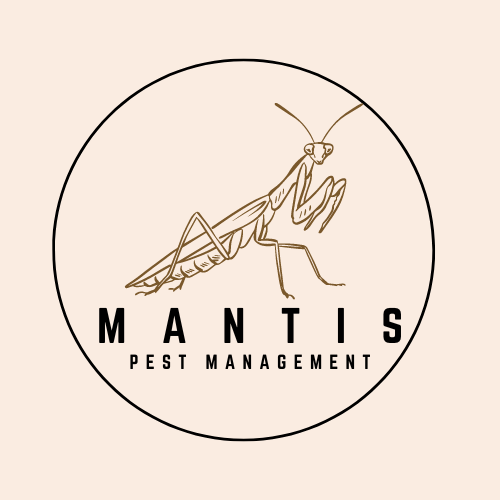 Mantis PM | Pest Control in Spokane