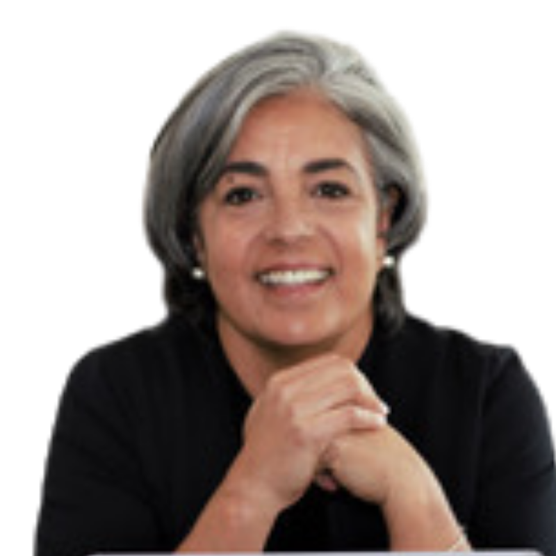 Ana Anselmo | Revista MS