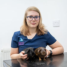 Meet Our Team | Nene Vets