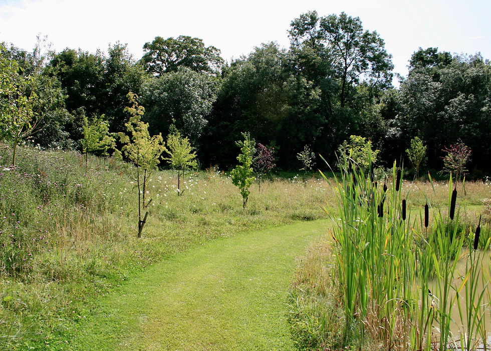 Garden Design | Designing for biodiversity | Tythorne Garden Design