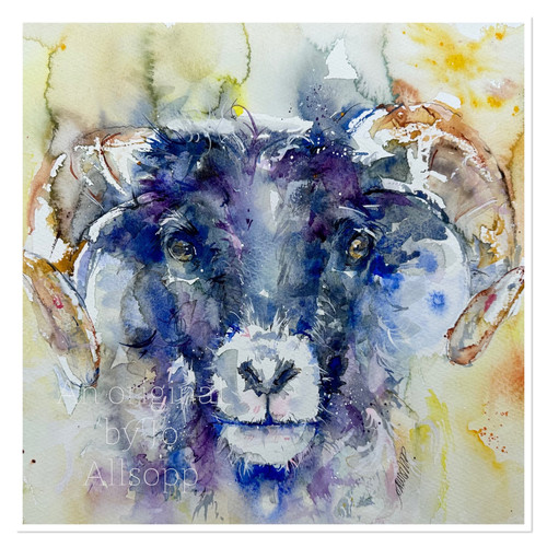 Sheep | Sable Studio Gallery