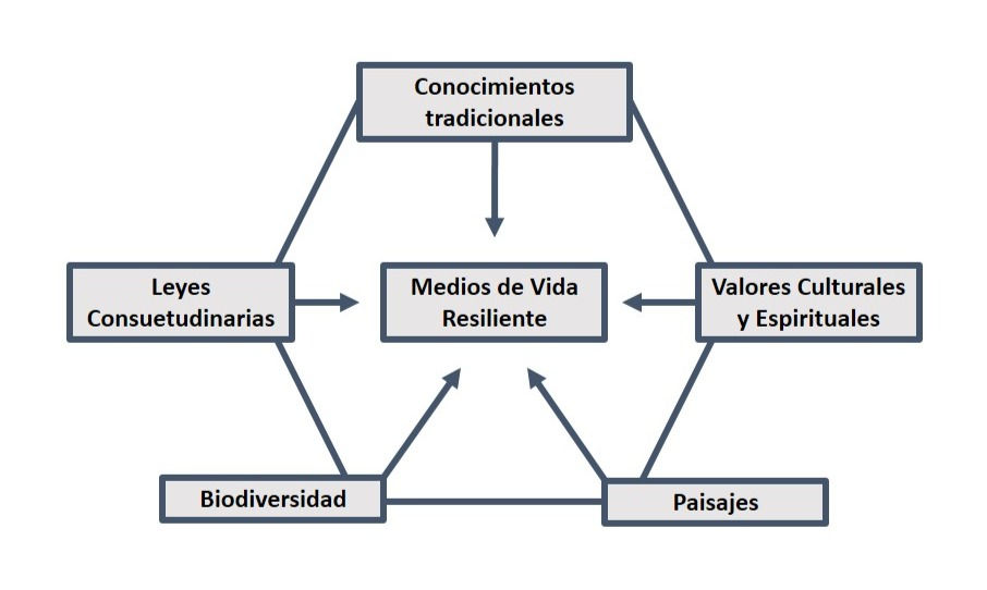 Patrimonio Biocultural, una conexión con la memoria de la humanidad