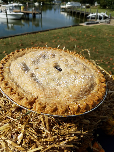 Blueberry Pie | Pies South County