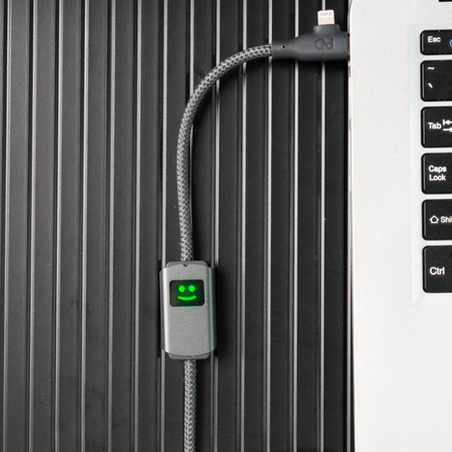 4020 | Xoopar Allure 100W Fast Charge cable | DTI