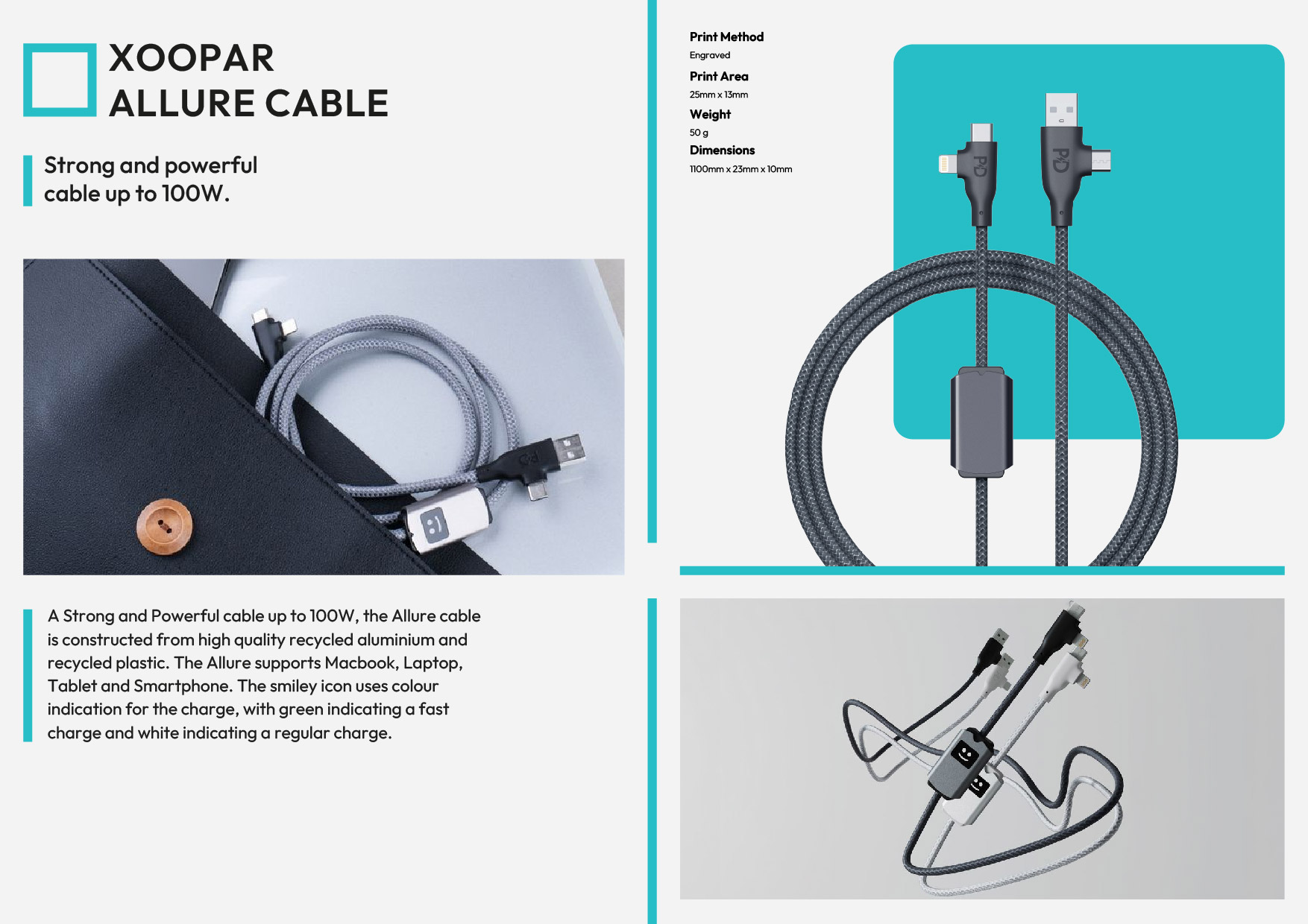 4020 | Xoopar Allure 100W Fast Charge cable | DTI