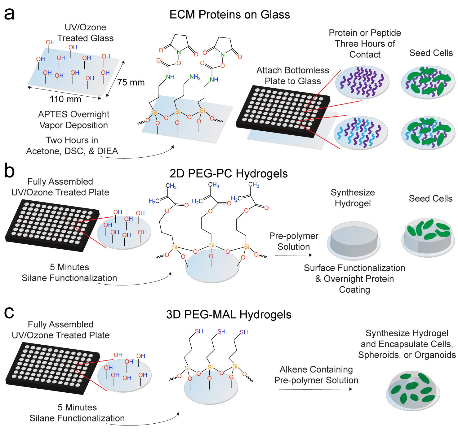 An omentum-inspired 3D PEG hydrogel for identifying ECM drivers of drug ...