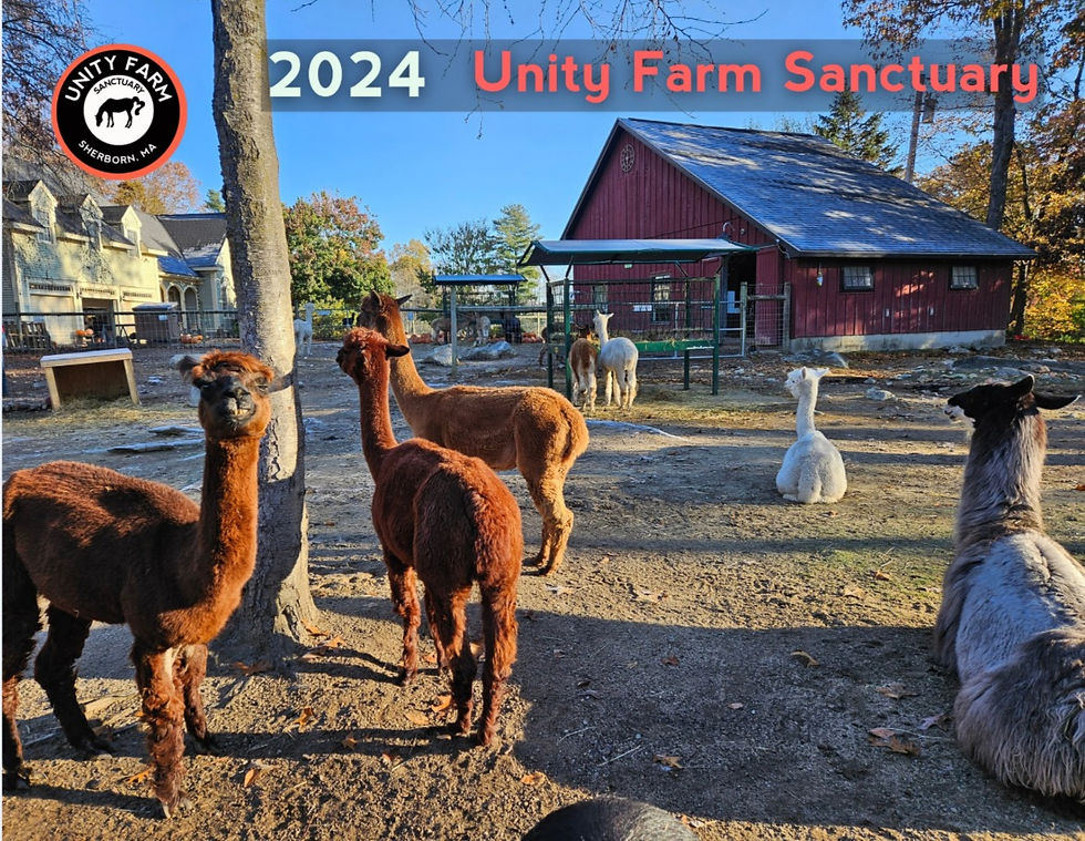 SHOP | Unity Farm Sanctuary