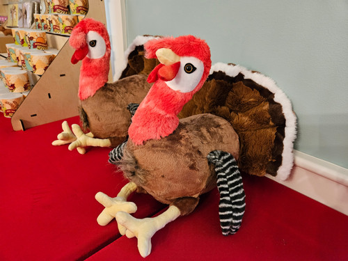 Stuffies: Theo the Turkey | Unity Farm Sanctuary