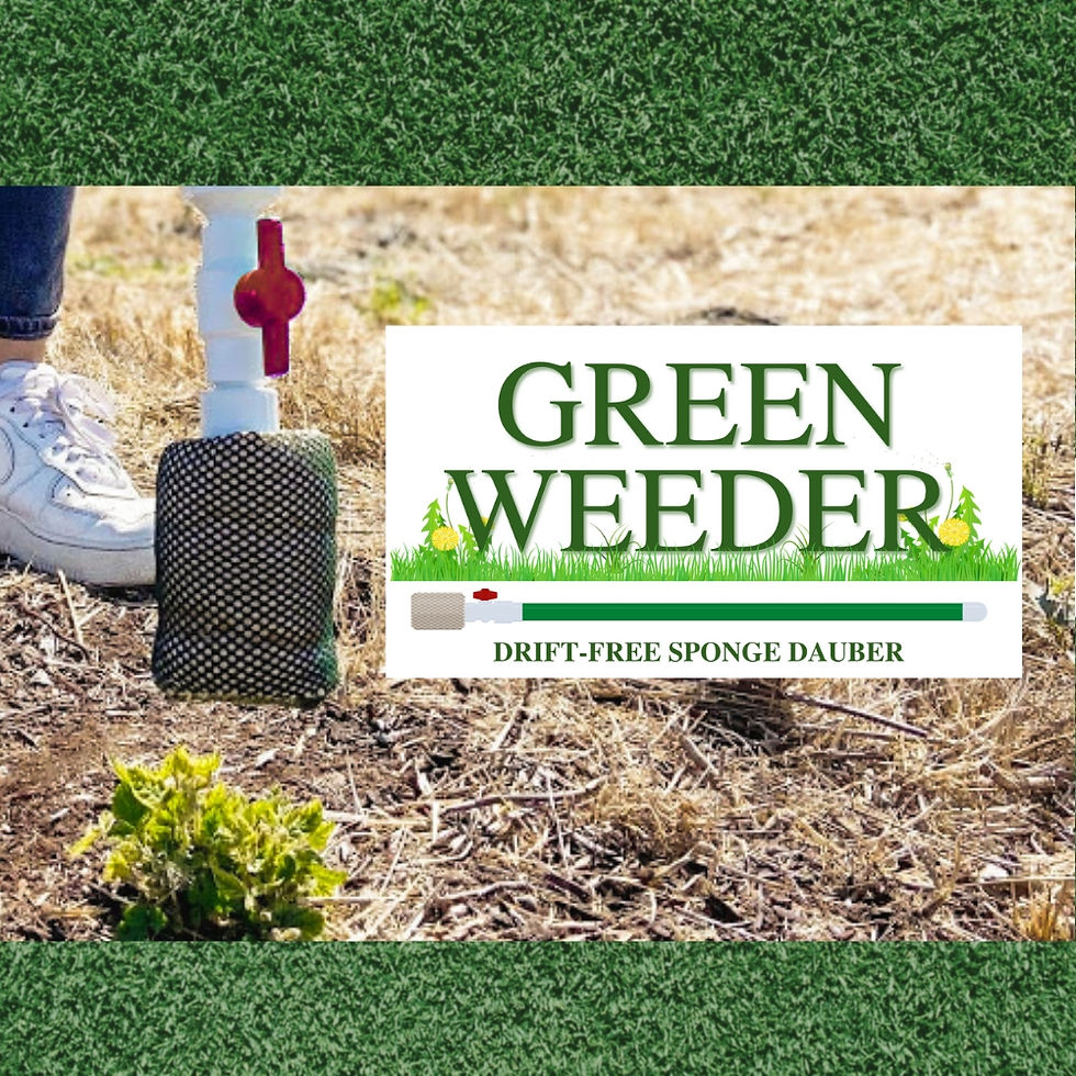 Green Weeder Dauber (RWTD03) | Smucker Mfg.