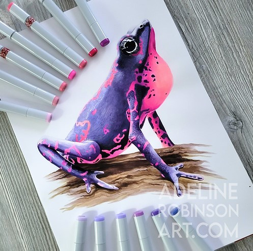 Purple Harlequin Toad Print | natureforyou