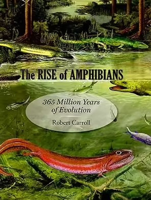 Rise of Amphibians: 365 Million Years of Evolution | natureforyou