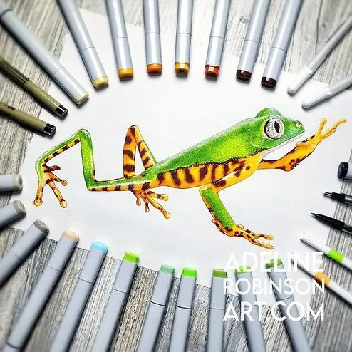 Tiger Legged Monkey Frog Print | natureforyou