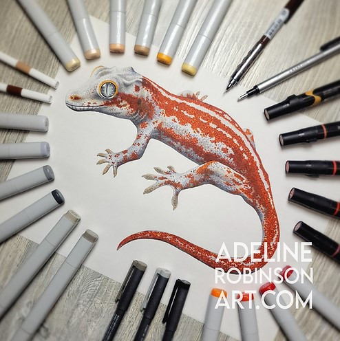 Red Striped Gargoyle Gecko Print | natureforyou