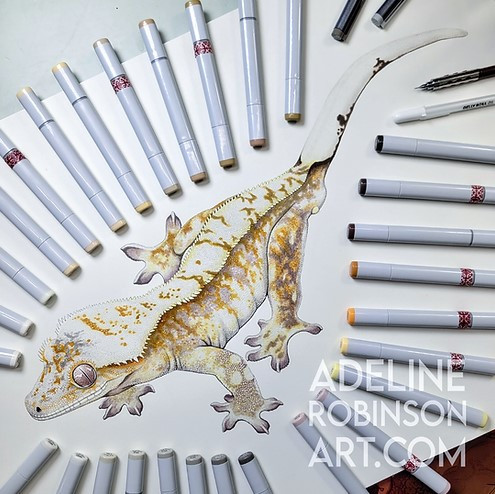 Crested Gecko Print | natureforyou