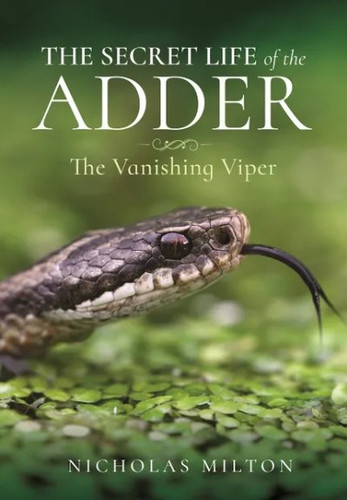 The Secret Life of the Adder | natureforyou