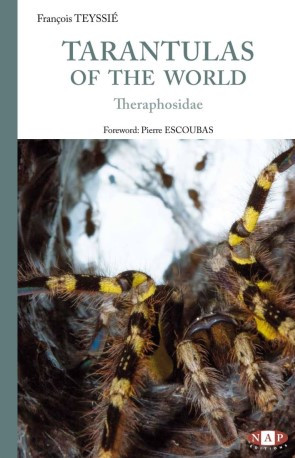 Tarantulas Of The World | natureforyou