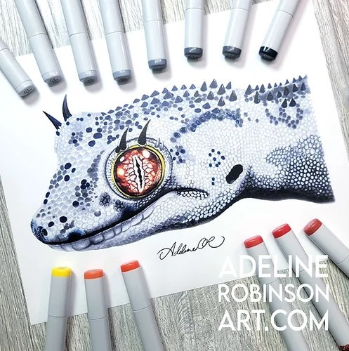 Northern Spiny-tailed Gecko Print | natureforyou