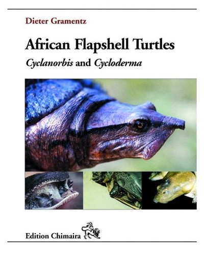 African Flapshell Turtles. Cyclanorbis and Cycloderma | natureforyou